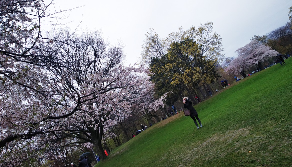 Here-you-meet-the-splendor-of-the-spring.jpg - World's Exotic Beaches